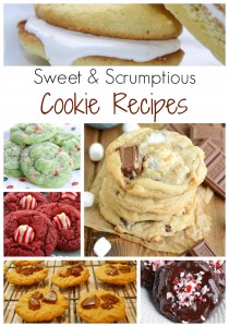 20 Sweet & Scrumptious Cookie Recipes