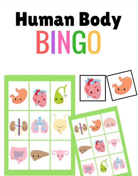 Human Body Printable Bingo Cards - Learn Anatomy While Playing!