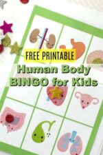 Human Body Bingo Printable Game - Learn Anatomy While Playing