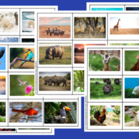 45 Free Printable Games for Kids