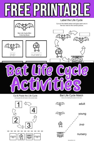 Printable Bat Life Cycle Activities for Kids