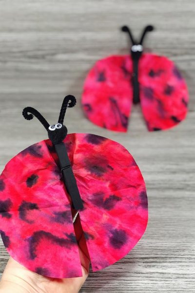 Fun Crafts for Kids and Family Projects