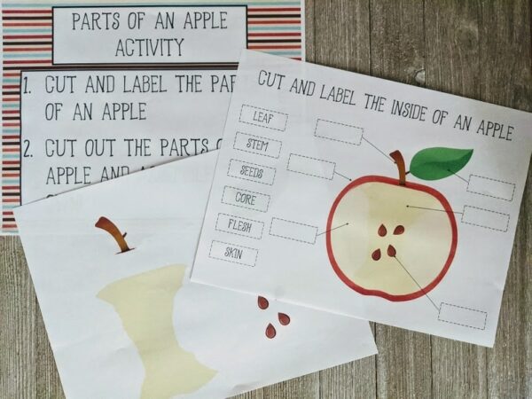 Engage Parts of an Apple Printable Activity for Preschoolers