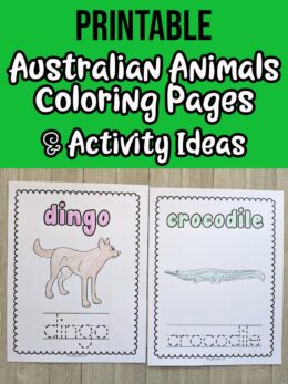 Australian Animals Printable Coloring Pages and Activities