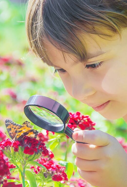 Outdoor Science Lesson Ideas for Kids