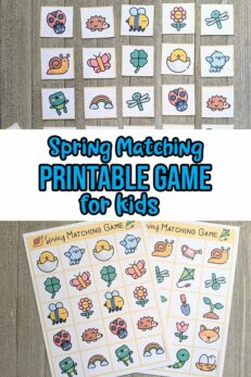 Printable Spring Matching Game