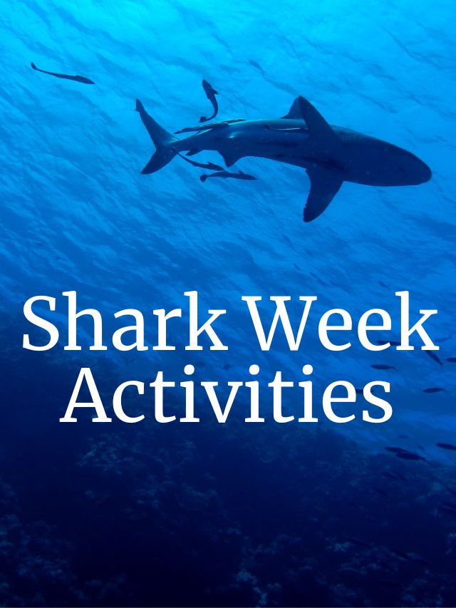 Shark Week Activities Story - Life With Darcy and Brian