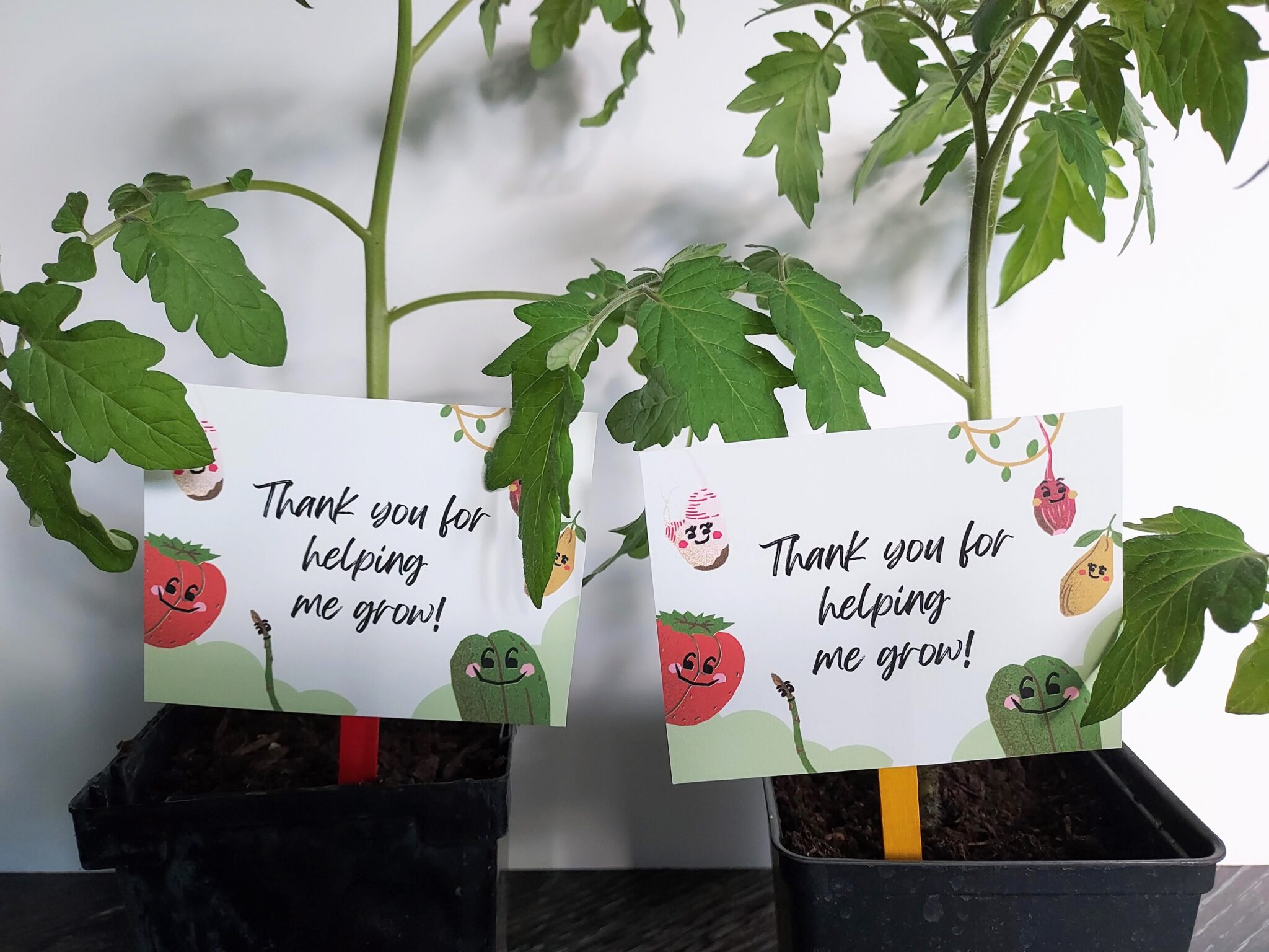 Free Printable Plant Themed Tags for Teacher Appreciation Gift