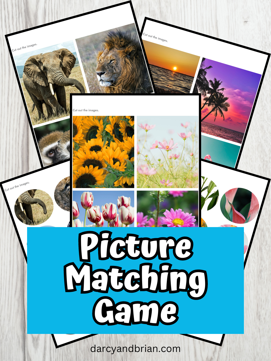 Free Printable Real Picture Matching Game
