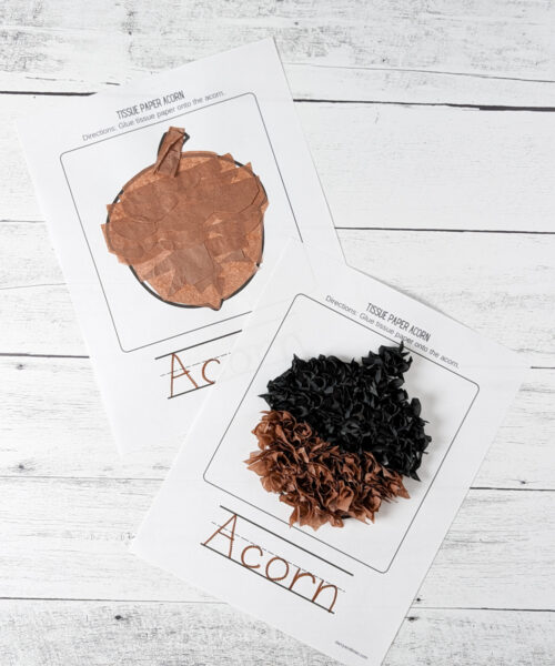 Acorn Tissue Paper Craft | Perfect for Preschool and Kindergarten