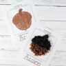 Acorn Tissue Paper Craft | Perfect for Preschool and Kindergarten