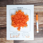 Tissue Paper Leaf Craft | Fun Preschool Fall Activity