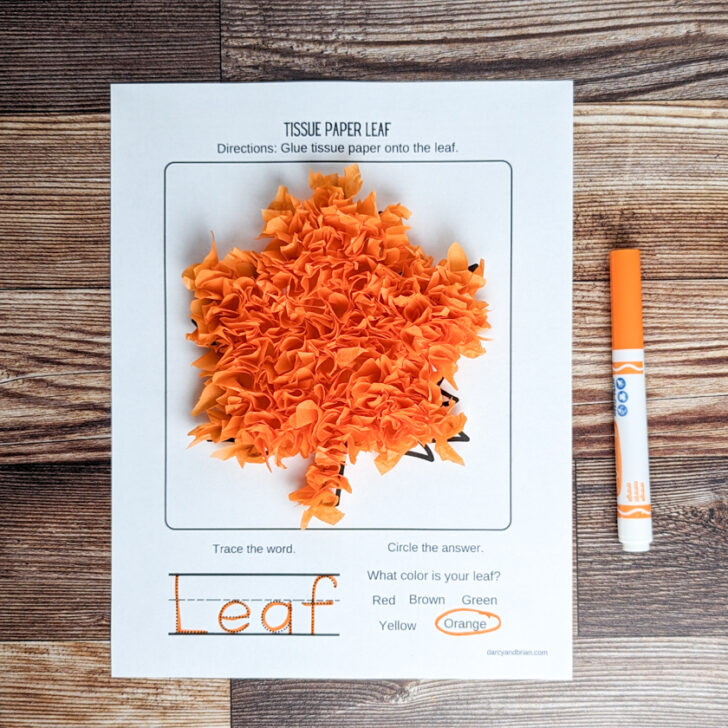Tissue Paper Leaf Craft | Fun Preschool Fall Activity
