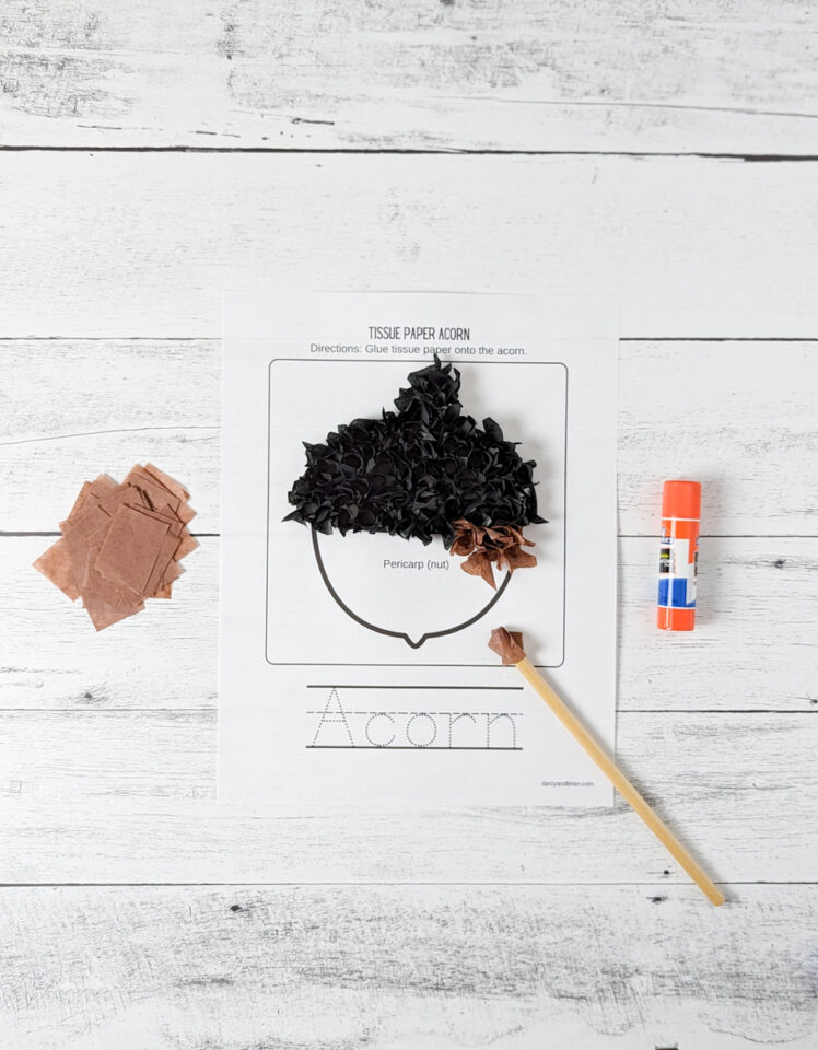 Acorn Tissue Paper Craft | Perfect for Preschool and Kindergarten