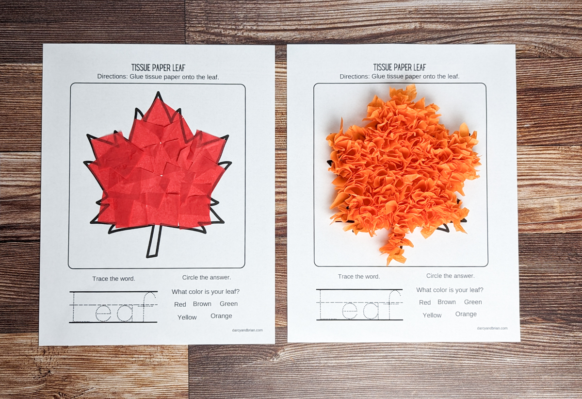 Tissue Paper Leaf Craft | Fun Preschool Fall Activity