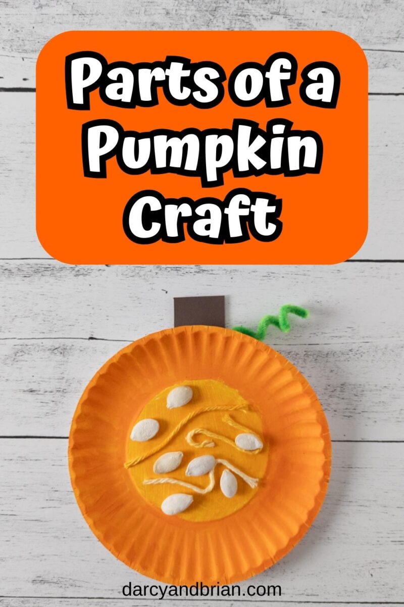 Easy Parts of a Pumpkin Craft for Kids