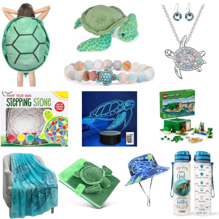 25 Turtle Gift Ideas for Kids & Tweens