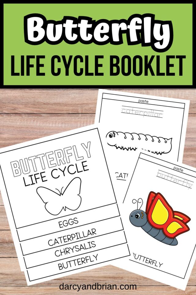 Printable Butterfly Life Cycle Booklet for Preschool Learning