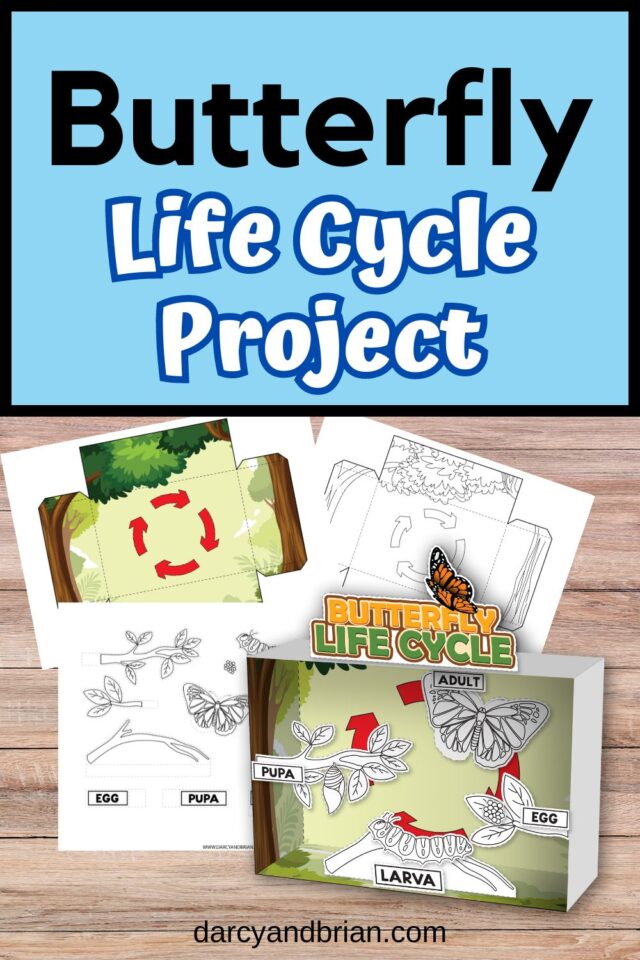 Butterfly Life Cycle Project for Kids: Fun 3D Diorama Printable