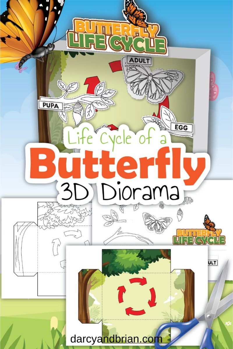Butterfly Life Cycle Project for Kids: Fun 3D Diorama Printable