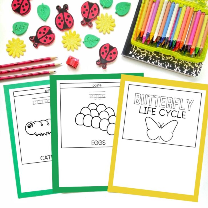 Printable Butterfly Life Cycle Booklet for Preschool Learning