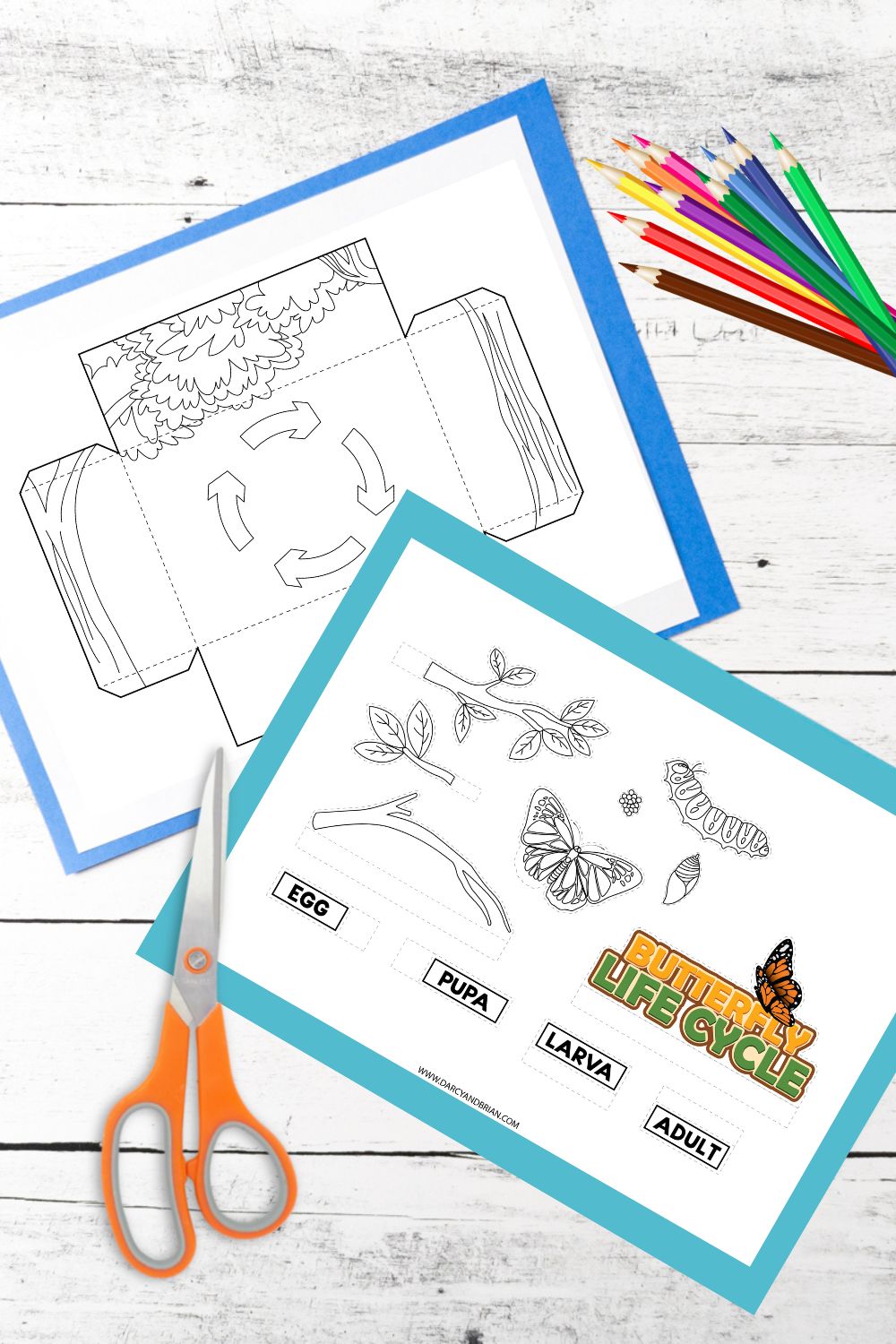 Butterfly Life Cycle Project for Kids: Fun 3D Diorama Printable
