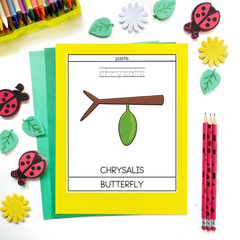 Printable Butterfly Life Cycle Booklet for Preschool Learning