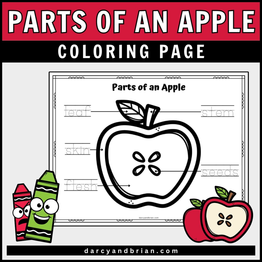 Free Printable Parts of an Apple Coloring Page