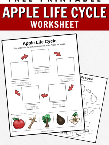 Apple Tasting Worksheet for Kids