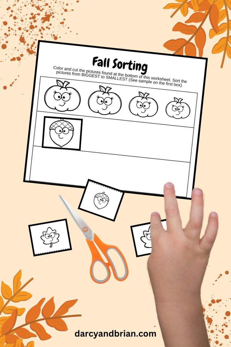Engaging Fall Sorting Worksheets for Preschool