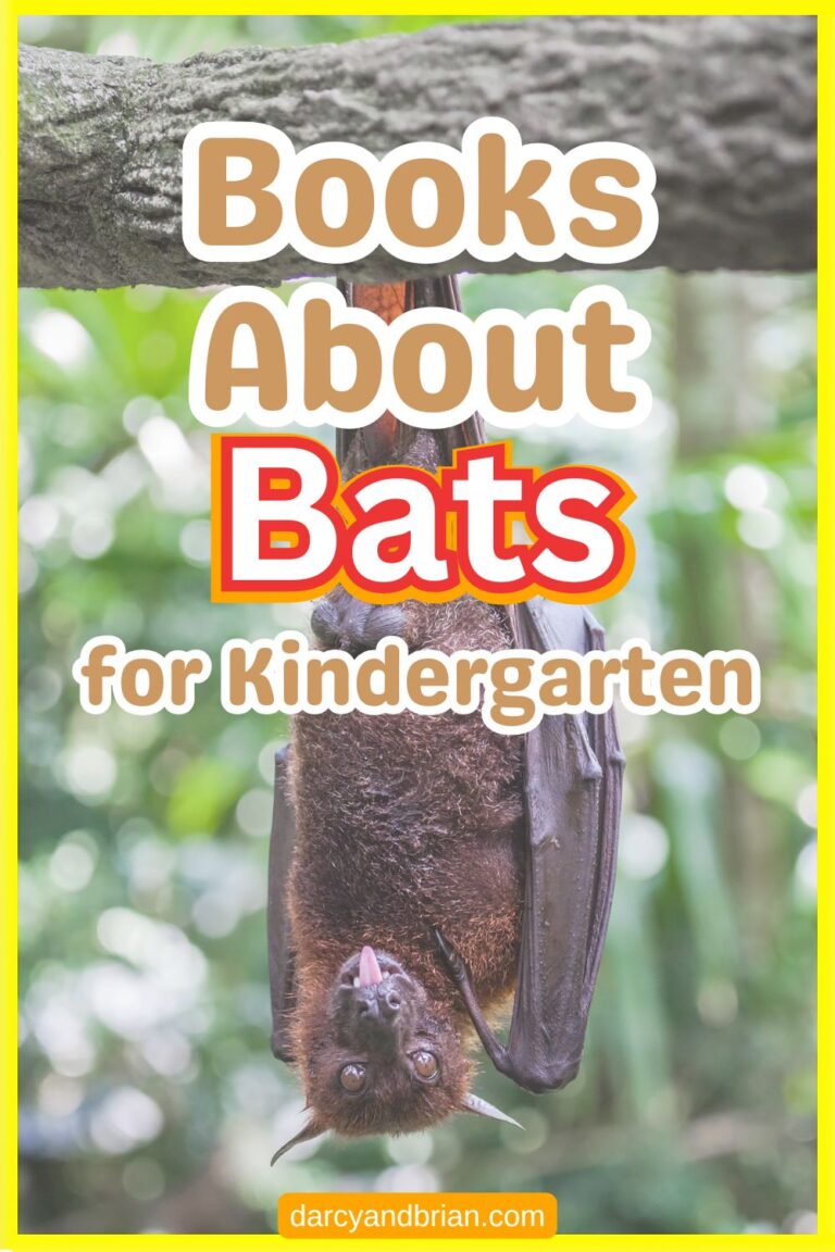 Engaging Books About Bats for Kindergarten Children