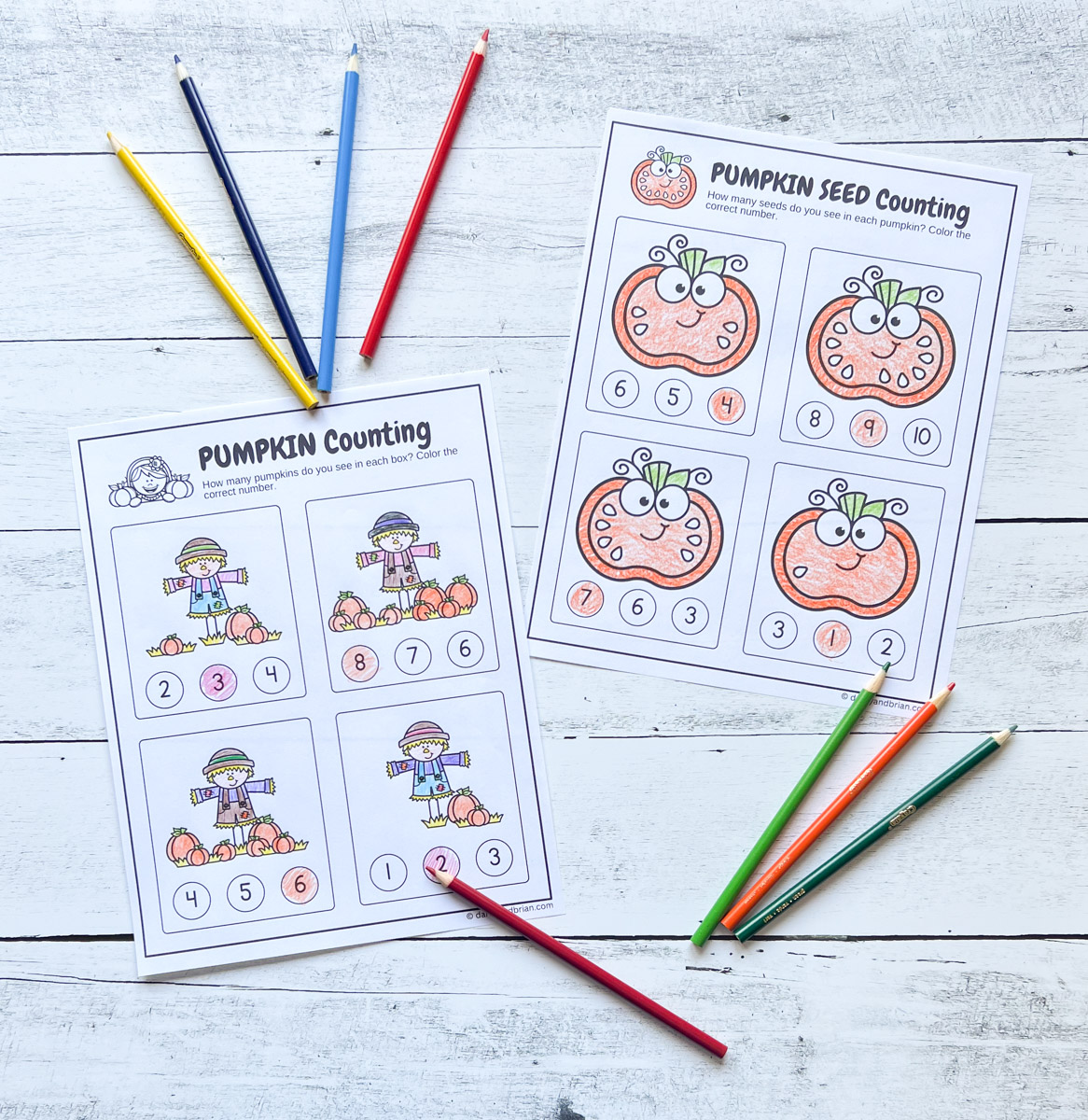 Pumpkin Counting Worksheet For Preschoolers